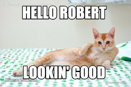 Meme Maker - hello robert Lookin' good Meme Generator!