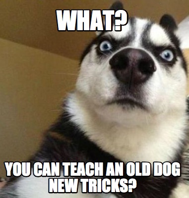 Meme Maker - What? You can teach an old dog new tricks? Meme Generator!