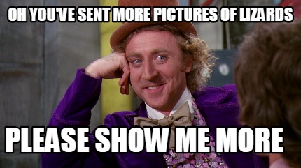 Meme Maker - Oh you've sent more pictures of lizards Please show me ...