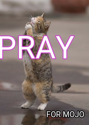Meme Maker - Pray for Mojo Meme Generator!