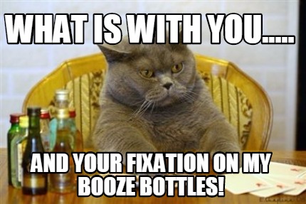 Meme Maker - What is with you..... and your fixation on my booze ...