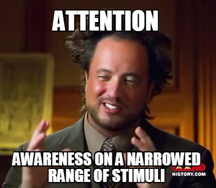 Meme Maker - attention awareness on a narrowed range of stimuli Meme ...