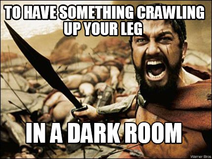 Meme Maker - to have something crawling up your leg in a dark room Meme ...