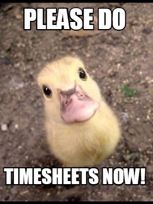 Meme Maker - PLEASE DO TIMESHEETS NOW! Meme Generator!