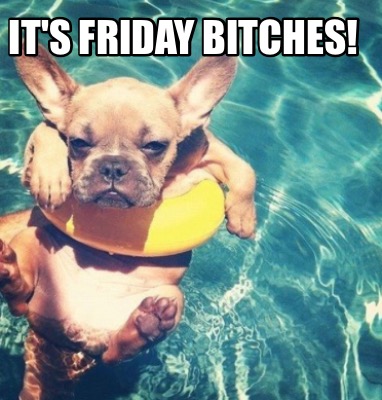 Meme Maker - It's Friday Bitches! Meme Generator!