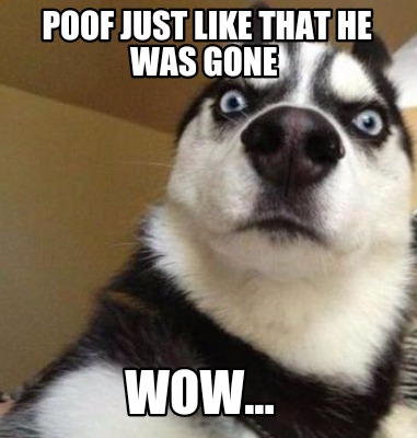 Meme Maker - Poof just like that he was gone Wow... Meme Generator!