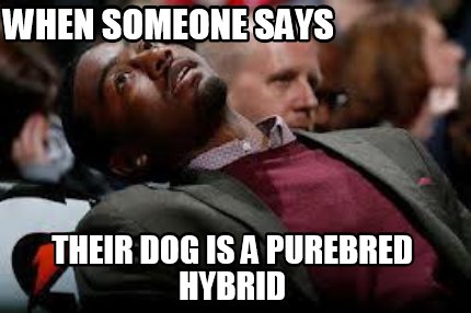 Meme Maker - When Someone Says Their dog is a purebred Hybrid Meme ...