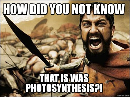 Photosynthesis Memes