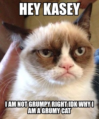 Meme Maker - HEY KASEY I aM not grumpy right Idk why I am a grumy cat ...