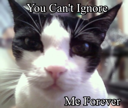 Meme Maker - You Can't Ignore Me Forever Meme Generator!