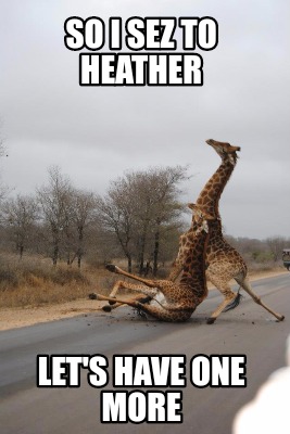 Meme Maker - SO I SEZ TO HEATHER Let's have one more Meme Generator!