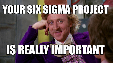 Meme Maker - Your Six Sigma project is really important Meme Generator!