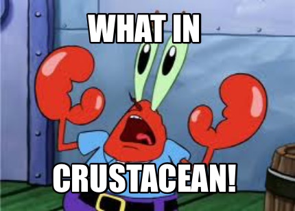 Meme Maker - What in Crustacean! Meme Generator!