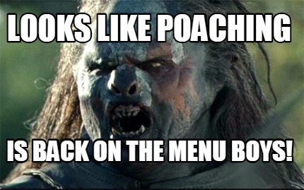 Meme Maker - LOOKS LIKE POACHING IS BACK ON THE MENU BOYS! Meme Generator!