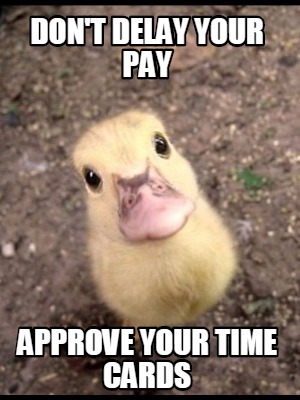 Meme Maker - Don't delay your pay Approve your time cards Meme Generator!
