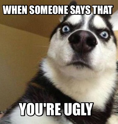 Meme Maker - When someone says that You're ugly Meme Generator!