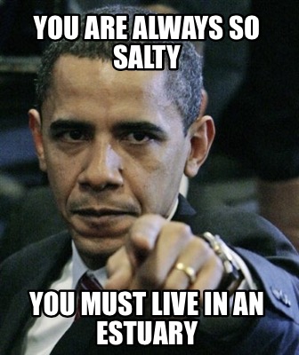 Why You So Salty Meme