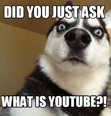 Meme Maker - DID YOU JUST ASK WHAT IS YOUTUBE?! Meme Generator!