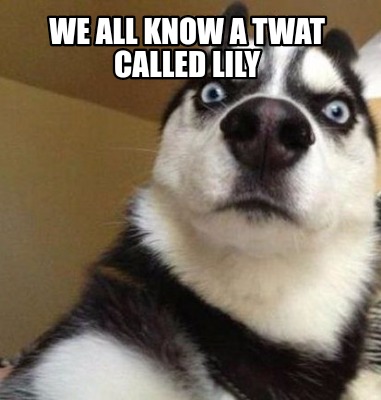 Lilly Meme