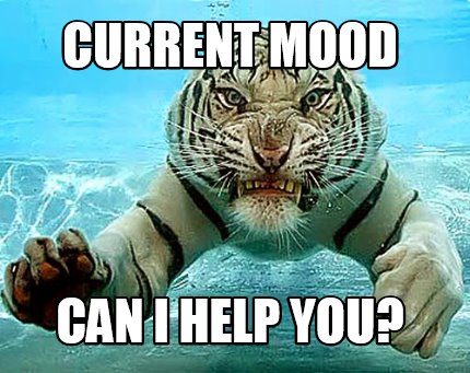 Current Mood Meme Mad