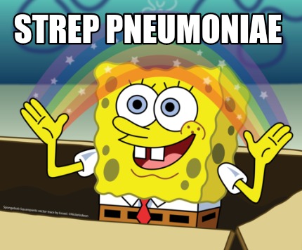Meme Maker - Strep pneumoniae Meme Generator!