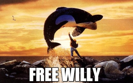 Meme Maker - Free Willy Meme Maker!