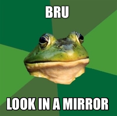 Meme Maker - Bru Look in a mirror Meme Generator!