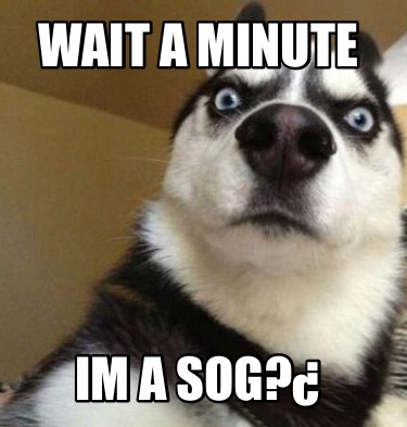 Meme Maker - Wait a Minute Im a sog?¿ Meme Generator!