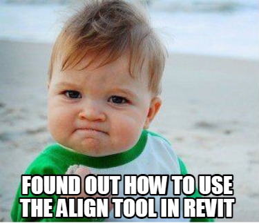 Meme Maker - FOUND OUT HOW TO USE THE ALIGN TOOL IN REVIT Meme Generator!