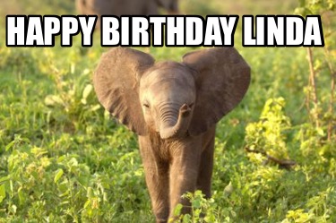 Linda Meme's Instagram, Twitter & Facebook on IDCrawl