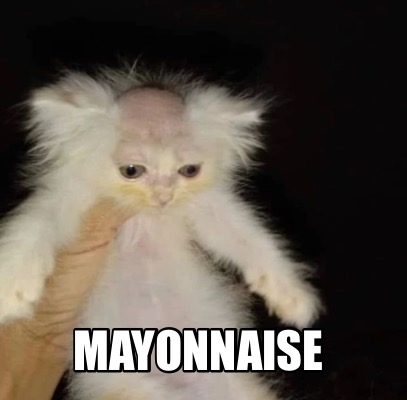 Meme Maker - Mayonnaise Meme Generator!