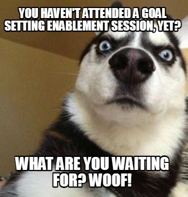 Meme Maker - You haven't attended a goal setting enablement session ...