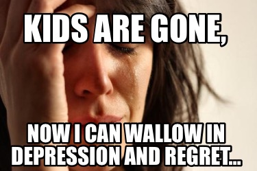 Meme Maker - Kids are gone, Now i can wallow in depression and regret ...