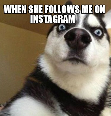 Meme Maker - When she follows me on Instagram Meme Generator!