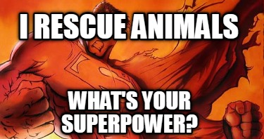 Meme Maker - I rescue animals what's your superpower? Meme Generator!