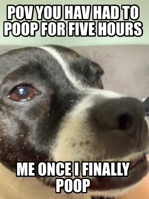 Meme Maker - POV YOU HAV HAD TO POOP FOR FIVE HOURS ME ONCE I FINALLY ...