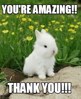 Youre Amazing Meme
