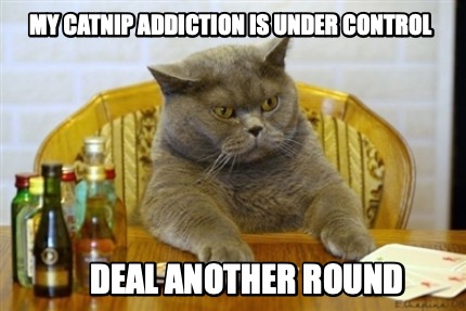 Meme Maker - My catnip addiction is under control deal another round ...