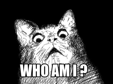 Meme Maker - who am I ? Meme Generator!