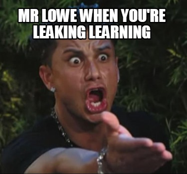 Meme Maker - MR lowe when you're leaking learning Meme Generator!