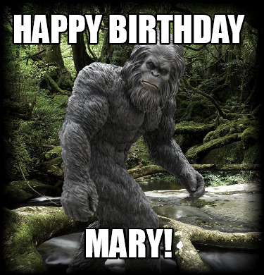 Meme Maker - Happy Birthday Mary! Meme Generator!