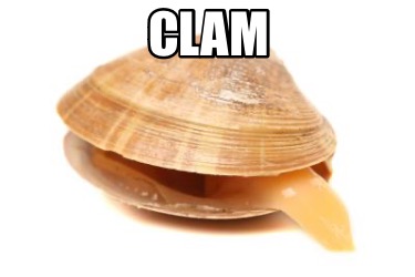 Meme Maker - CLAM Meme Generator!