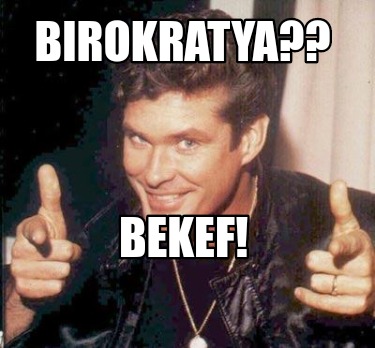 Meme Maker - The Hoff says Have a happy drive back to hobart Meme Generator!