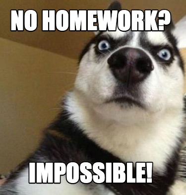 No Homework Meme