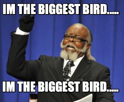 Meme Maker - IM THE BIGGEST BIRD..... IM THE BIGGEST BIRD..... Meme ...