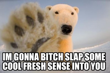Meme Maker - Im gonna bitch slap some cool fresh sense into you Meme ...