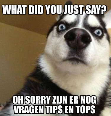 Meme Maker - WHAT did you just say? oh sorry zijn er nog vragen tips en ...