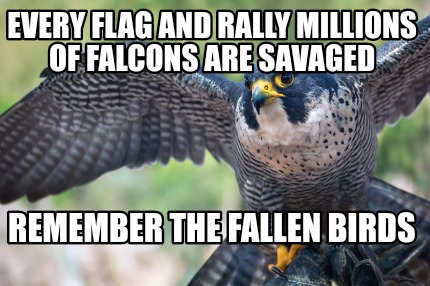 Meme Maker - Every flag and rally millions of falcons are savaged ...