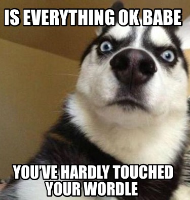 Meme Maker - Is everything ok babe You’ve hardly touched your wordle ...