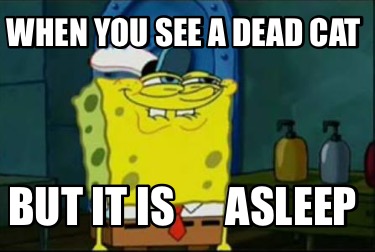 Meme Maker - failure is the easiest option to choose Meme Generator!